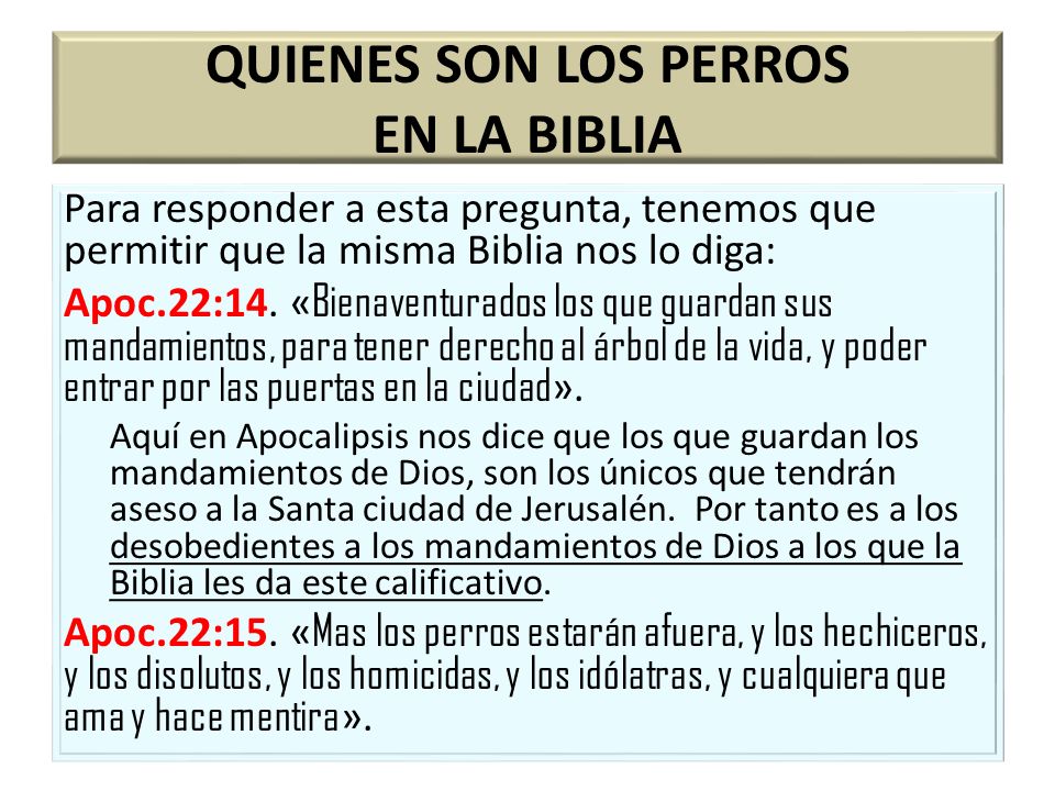 ᐈ ¿Qué dice Jesús de los perros?